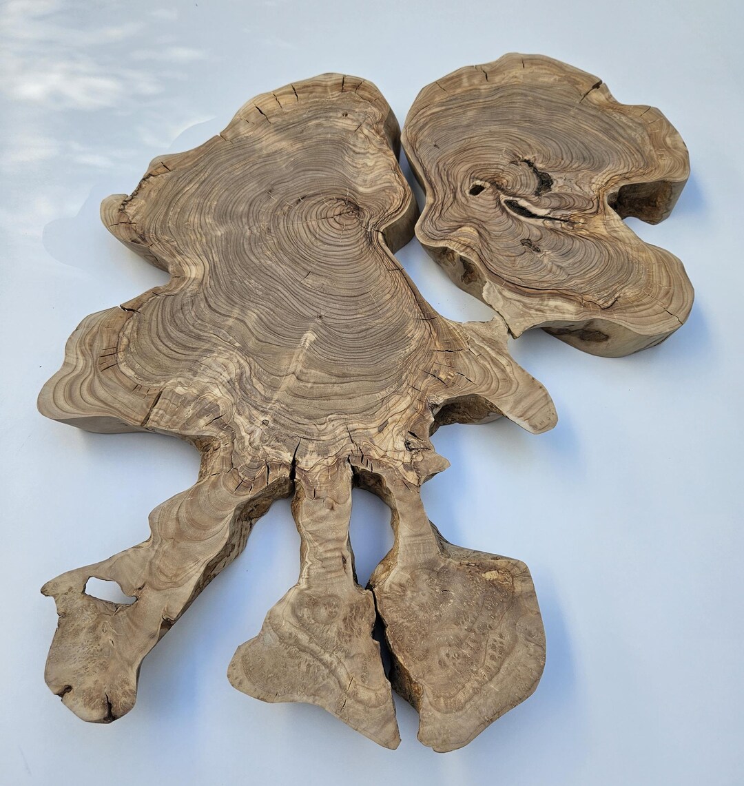Olive Tree Root Slice for Woodworking, Live Edge Olive Wood Slab, Round ...