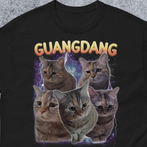 Funny Guangdang Sad Cat Meme Tee Shirt Gift for Woman and Man, Goofy ...