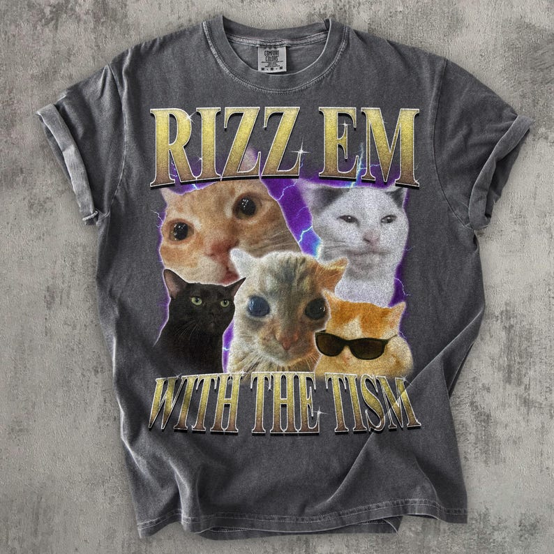 Rizz Em With the Tism Vintage Graphic Tee, Retro 90s Funny Cat Meme ...