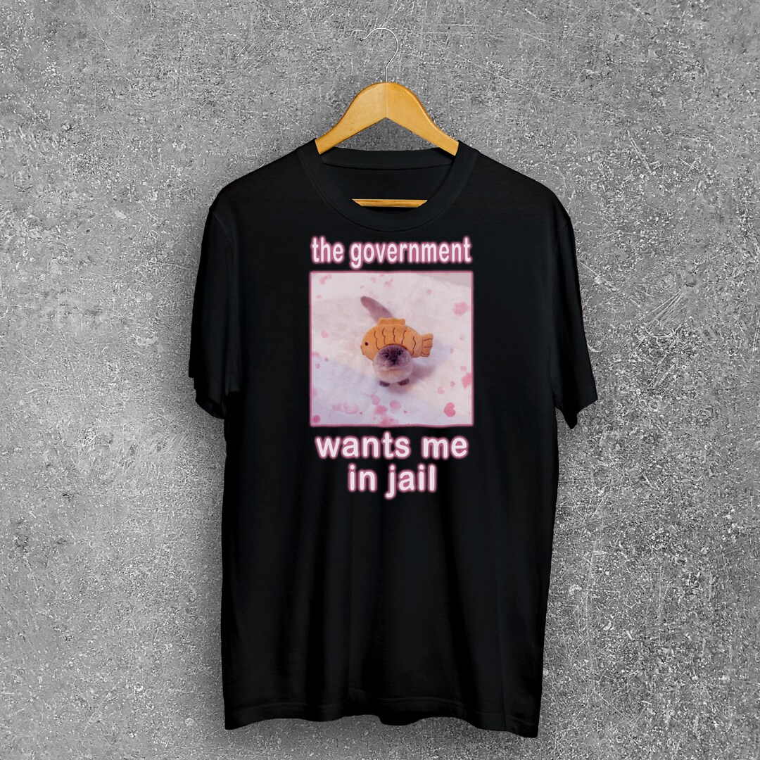 The Government Wants Me in Jail Funny Cat Meme T-shirt Gift for Woman ...
