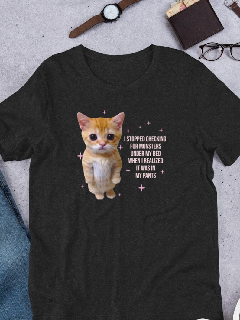 Funny Cat Meme Shirt, Ironic T-shirt, Goofy Ahh Tshirt, El Gato Meme ...