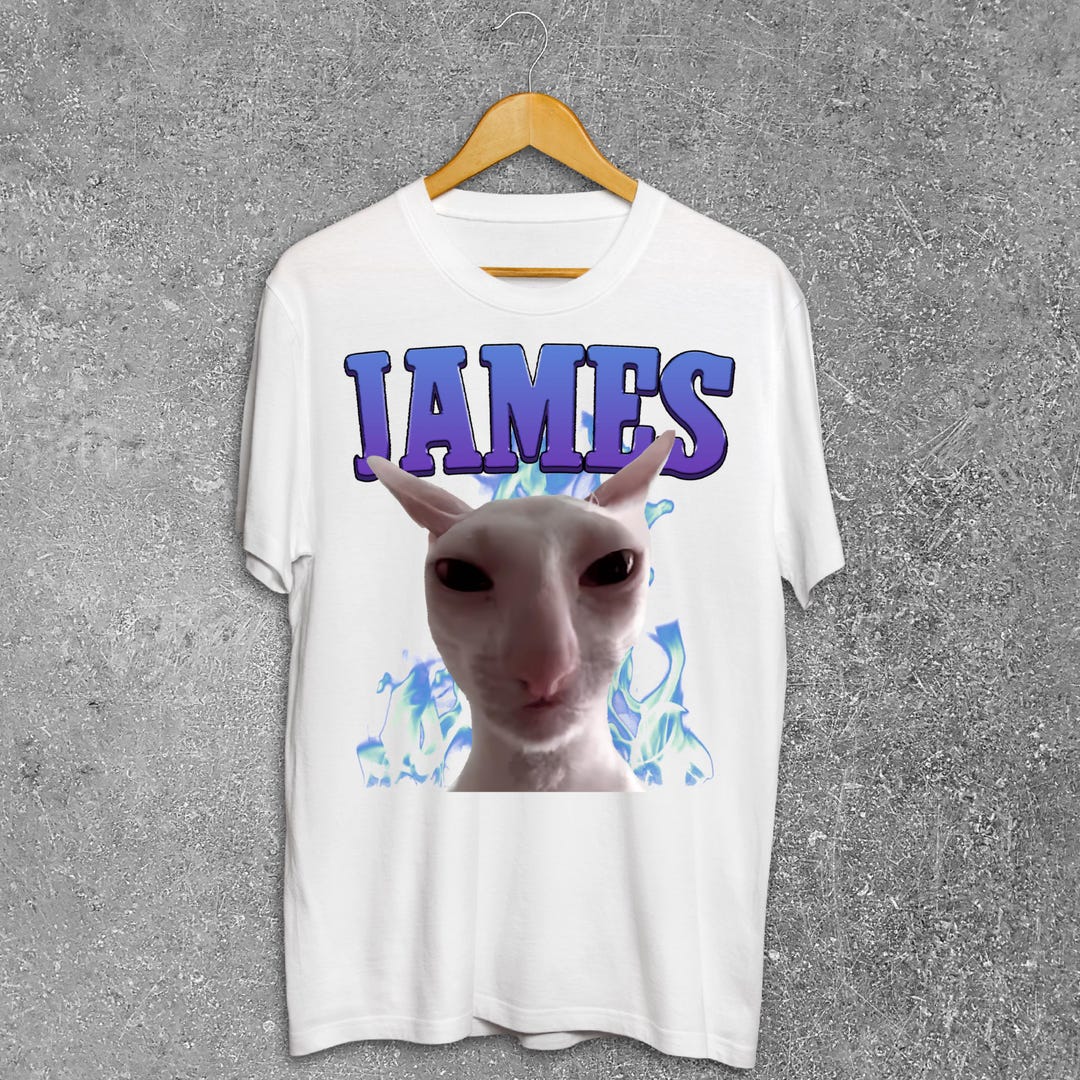 James Funny Cat Meme T-shirt, Silly Cats Shirt, Brainrot Shirts, Ugly ...