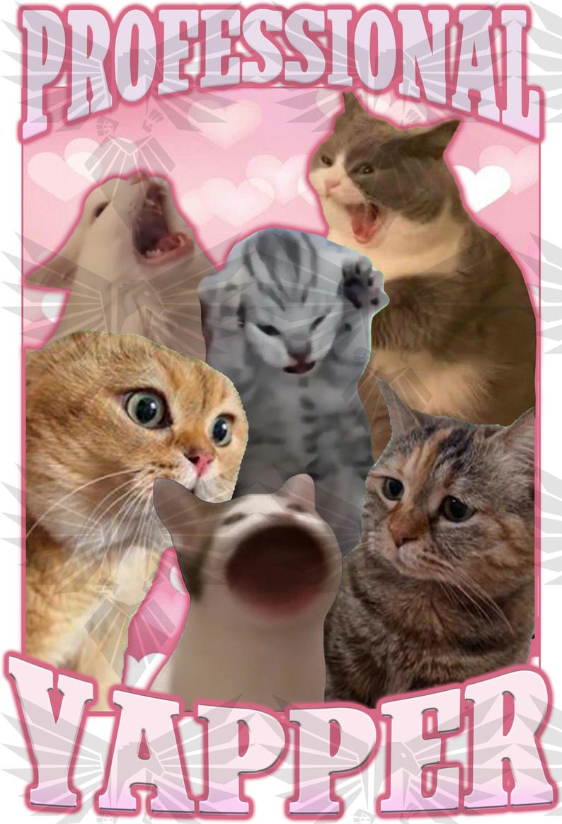 Professional Yapper Funny Cat Meme Png Printables, Goofy Ahh DTG Files ...