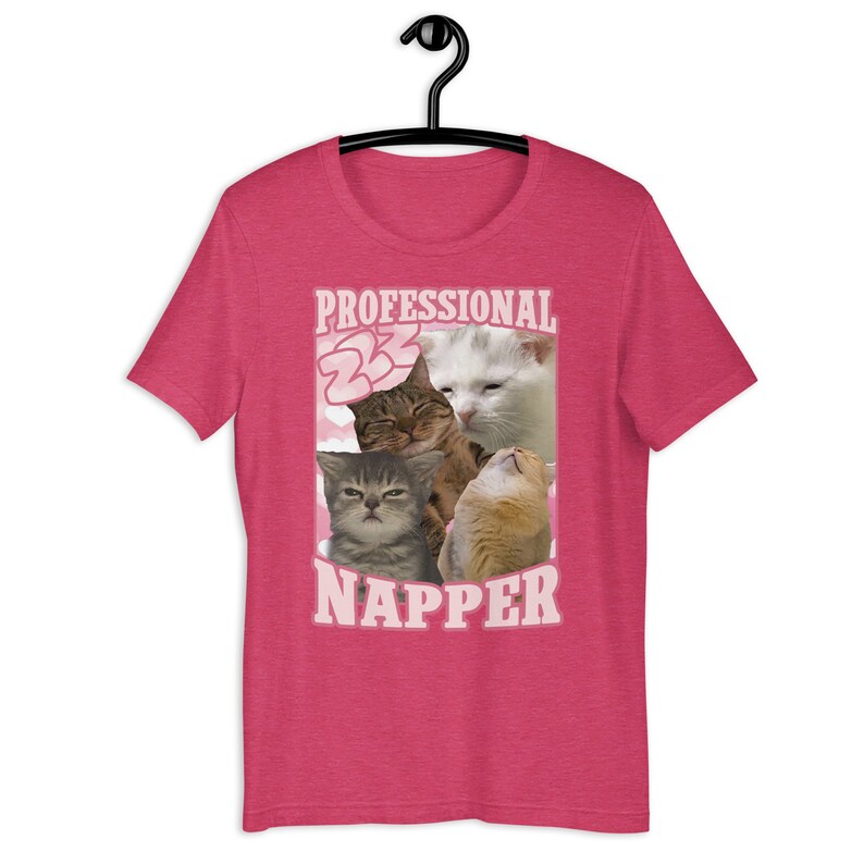 Professional Napper Funny Cat Meme T-shirt, Gift for Her, Goofy Ahh ...