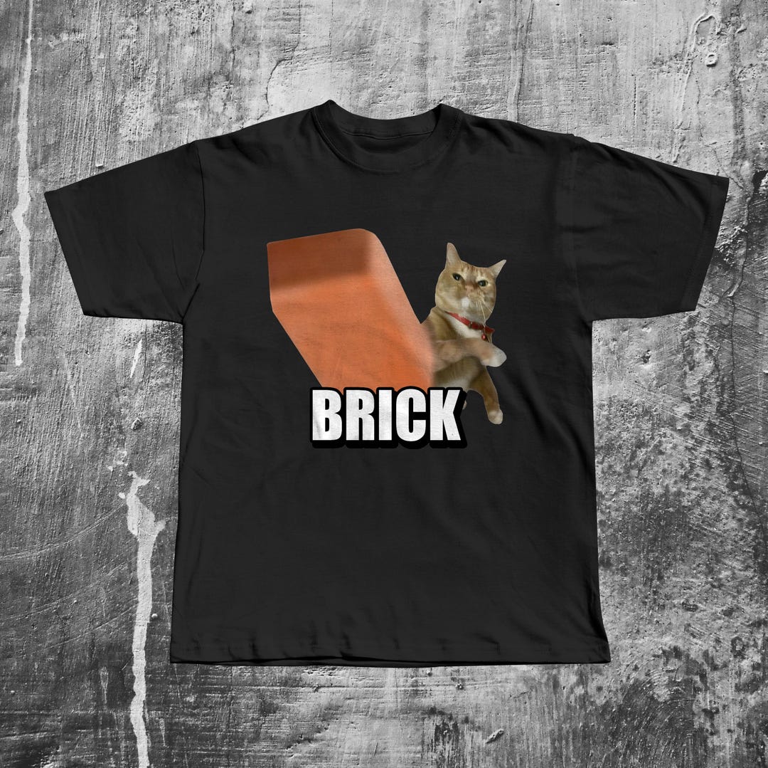 Funny Cat Throwing Brick T-shirt, Meme Shirt, Silly Cats Tee, Unhinged ...