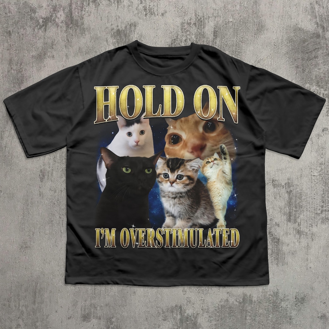 Hold on I'm Overstimulated Funny Cat Meme T-shirt, Silly Cats Shirt ...