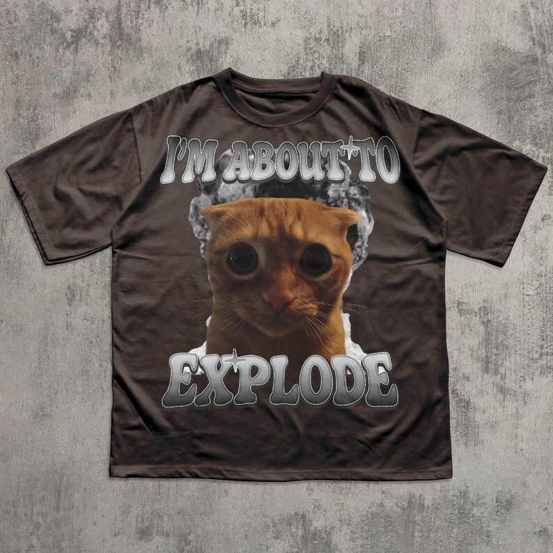 I'm About to Exlode Funny Cat Meme T-shirt, 90s Retro T-shirt, Cats ...