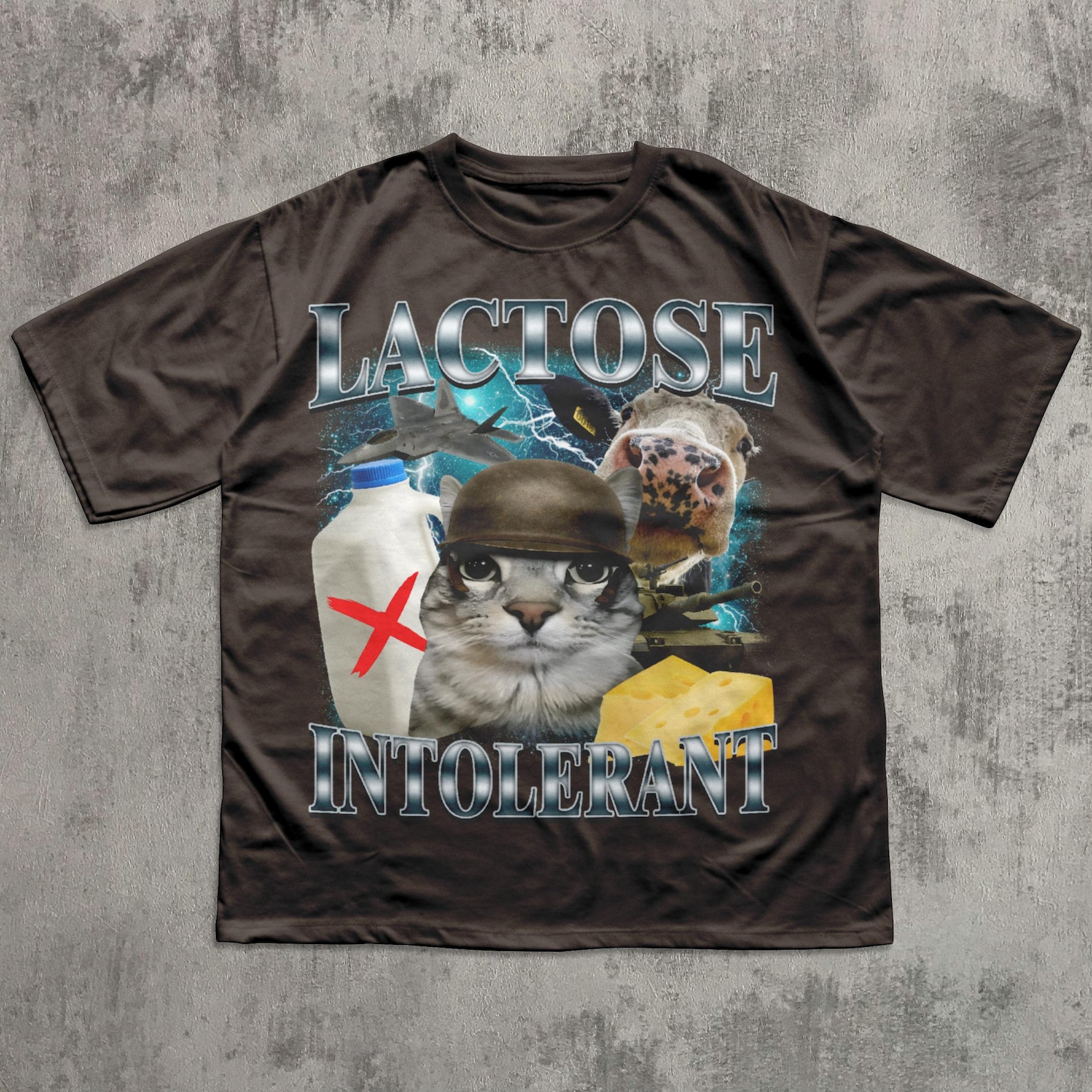 Lactose Intolerant Funny Cat Meme T-shirt, Comfort Colors Shirt, Stupid ...