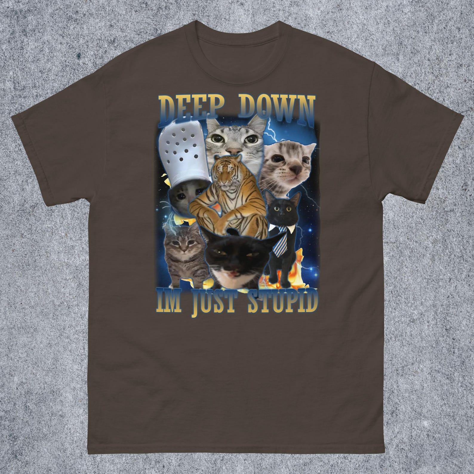 Deep Down Im Just Stupid Funny Cat Meme Tee Shirt, Gift for Woman and ...