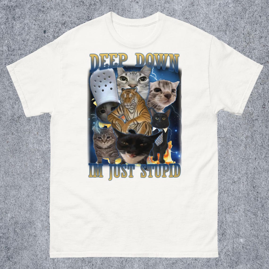 Deep Down Im Just Stupid Funny Cat Meme Tee Shirt, Gift for Woman and ...