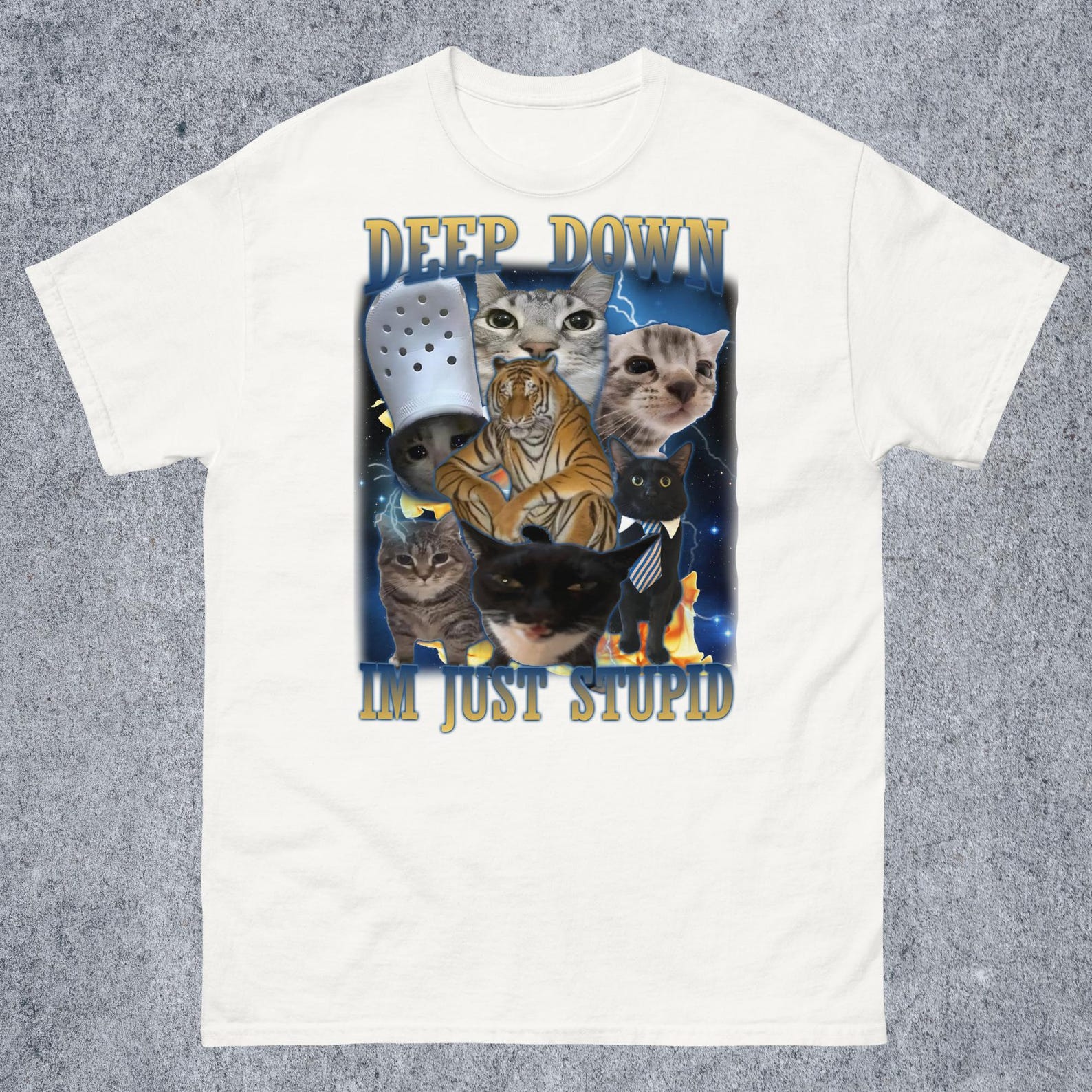 Deep Down Im Just Stupid Funny Cat Meme Tee Shirt, Gift for Woman and ...