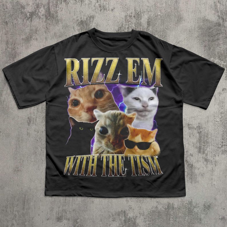 Rizz Em With the Tism Vintage Graphic Tee, Retro 90s Funny Cat Meme ...