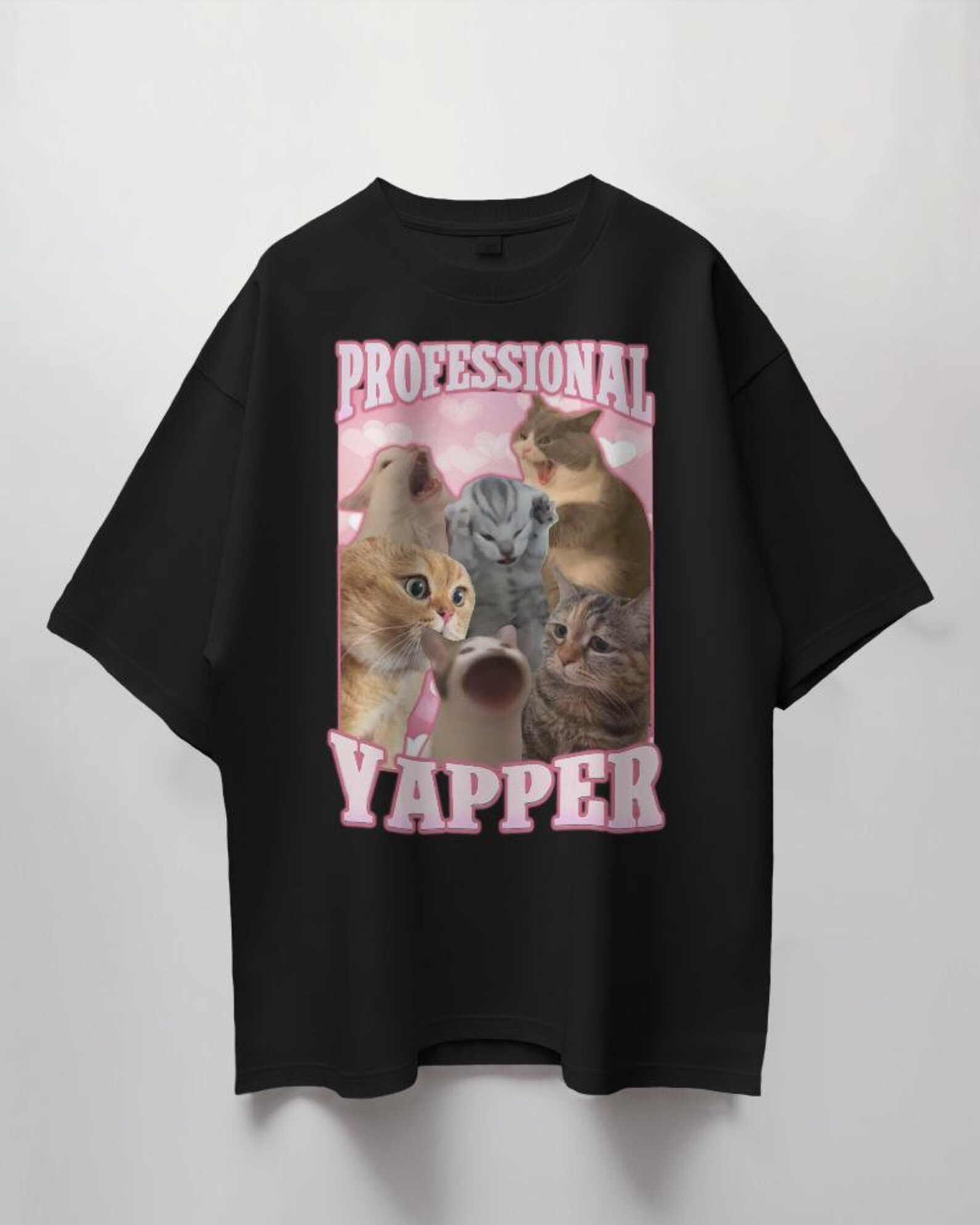 Professional Yapper Funny Cat Meme Png Printables, Goofy Ahh DTG Files ...