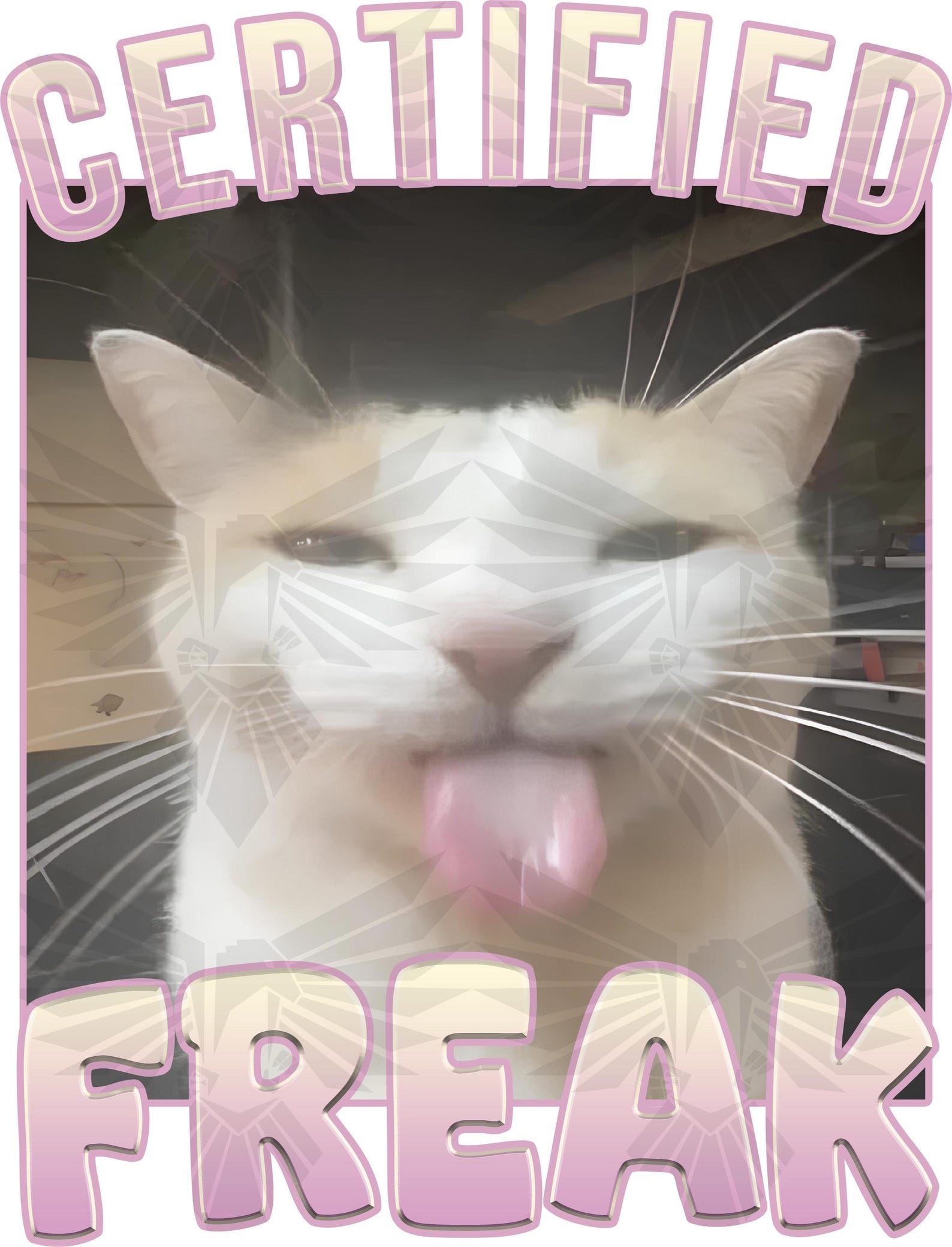 Certified Freak Funny Cat Meme PNG, Gift for Him and Her, Downloadable Printables, Cat Meme ...
