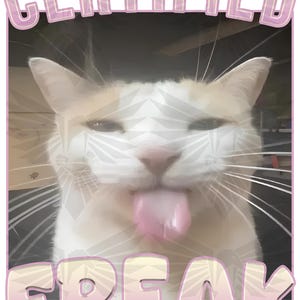 Certified Freak Funny Cat Meme PNG, Gift for Him and Her, Downloadable ...