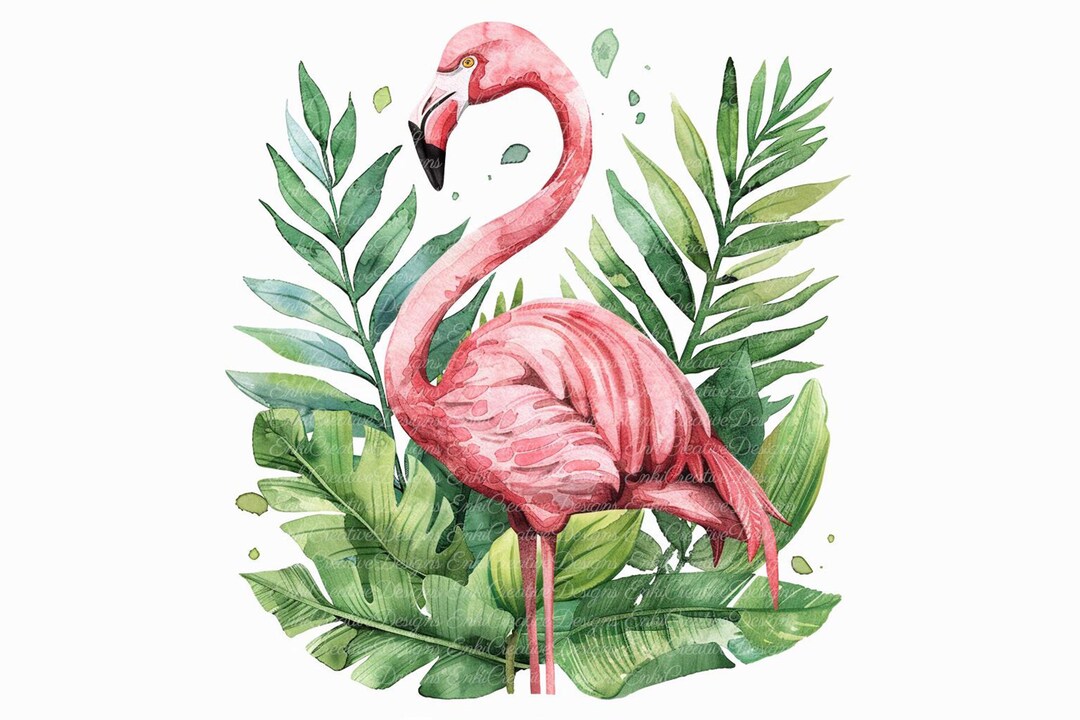 Tropical Flamingo Clipart Set 10 Designs High Res JPG Scrapbooking ...