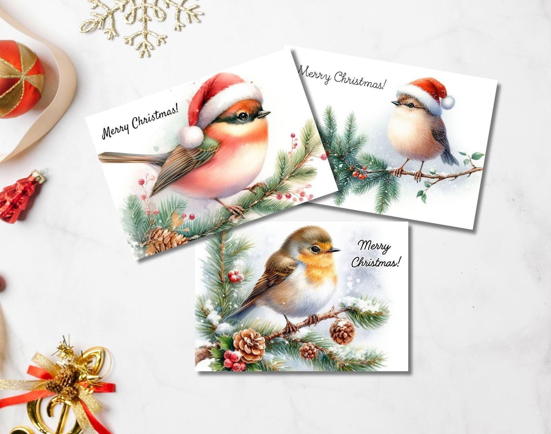 Pack 3 Merry Christmas Cards, Bird Christmas Cards, Merry Christmas ...