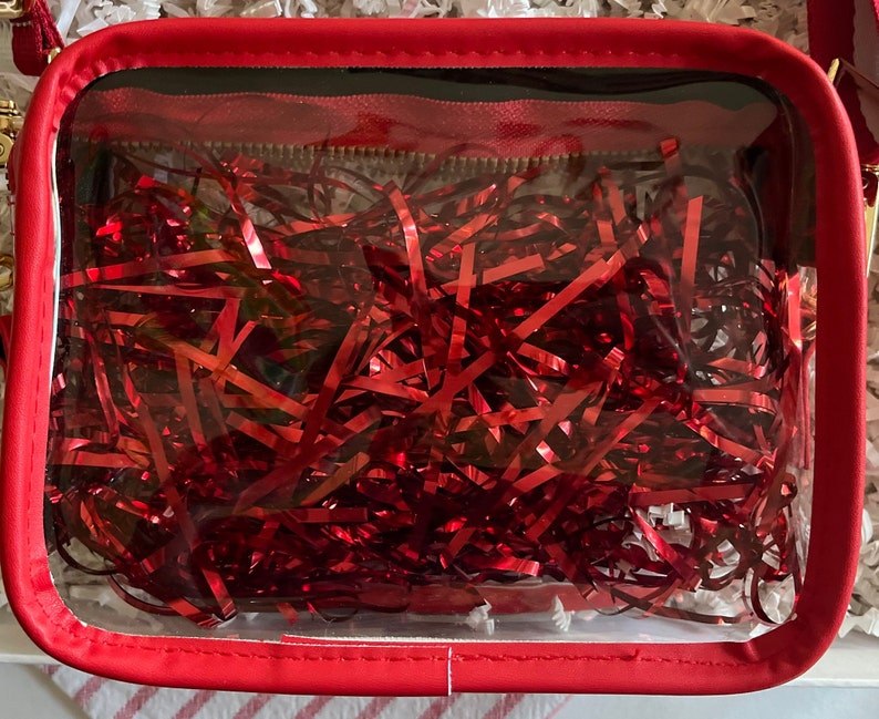 Ballparkbuddy Phillies Stadium Bag Featuring the Phillie Phantic - Etsy