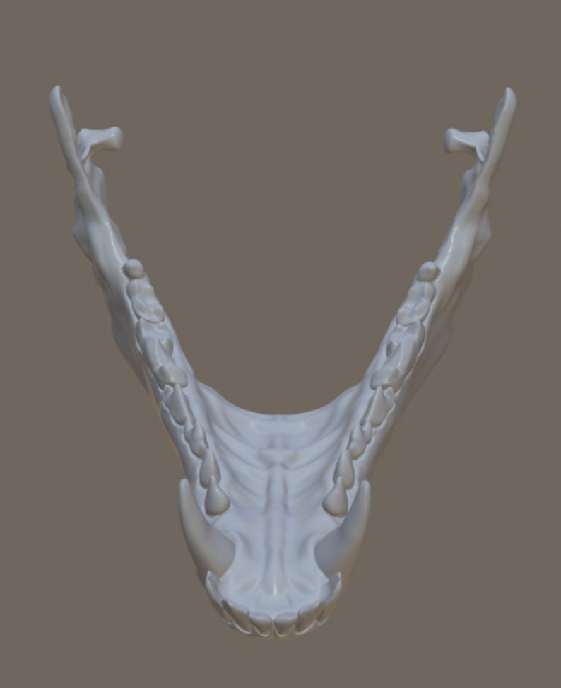 Wendigo Skull Mask 3DMODEL 2022 - Etsy
