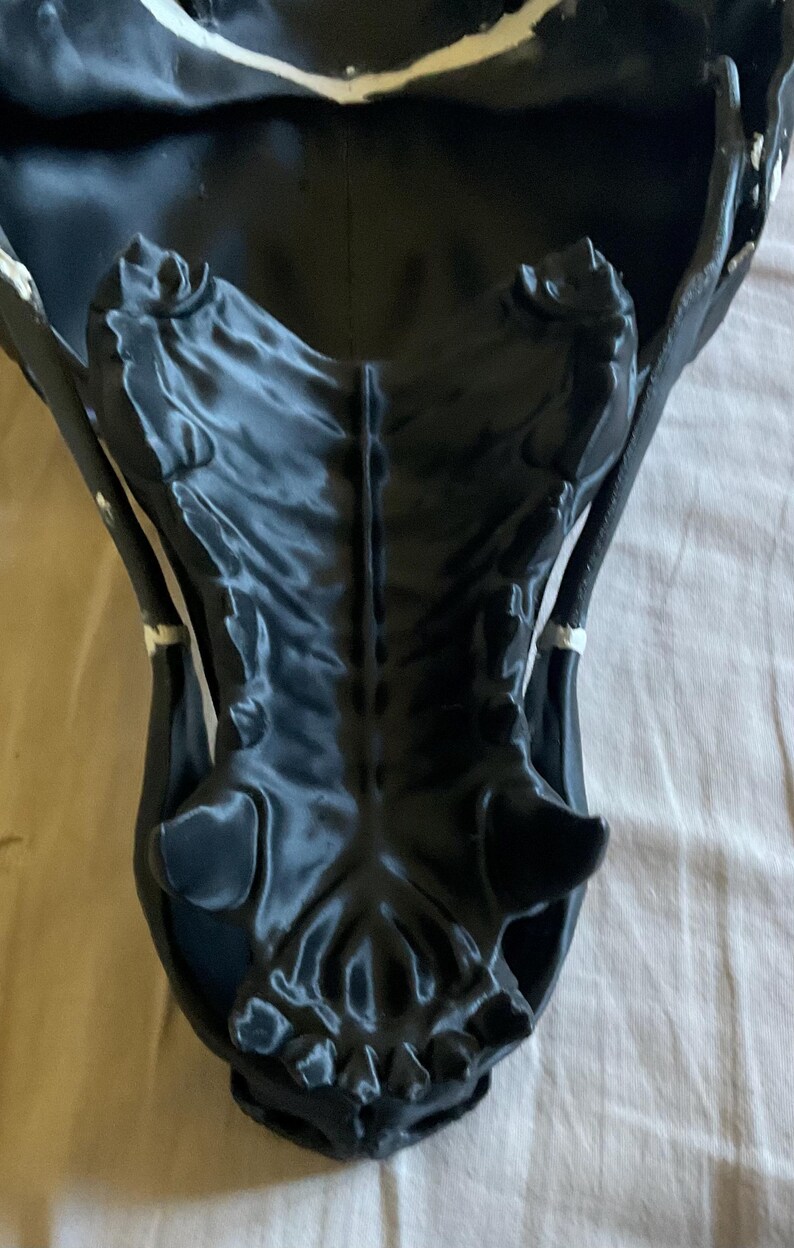 Werewolf Mask, Wolf Cosplay, Fursuit Base, Werewolf Cosplay, Canidae ...