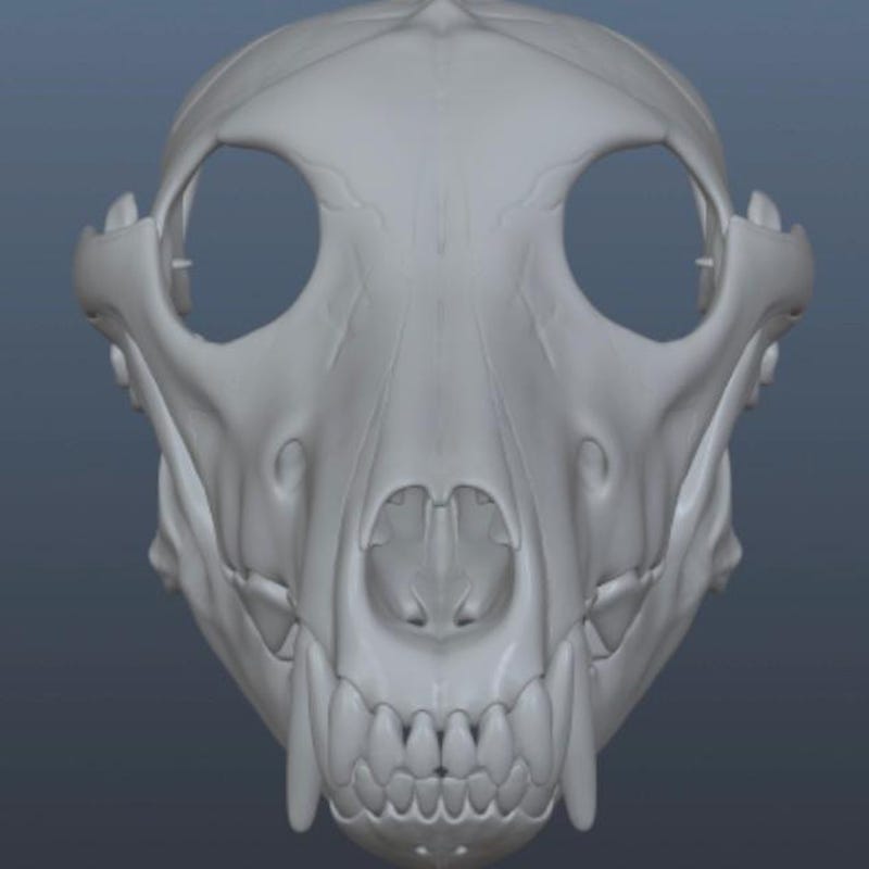 Skull Dog Mask - Etsy