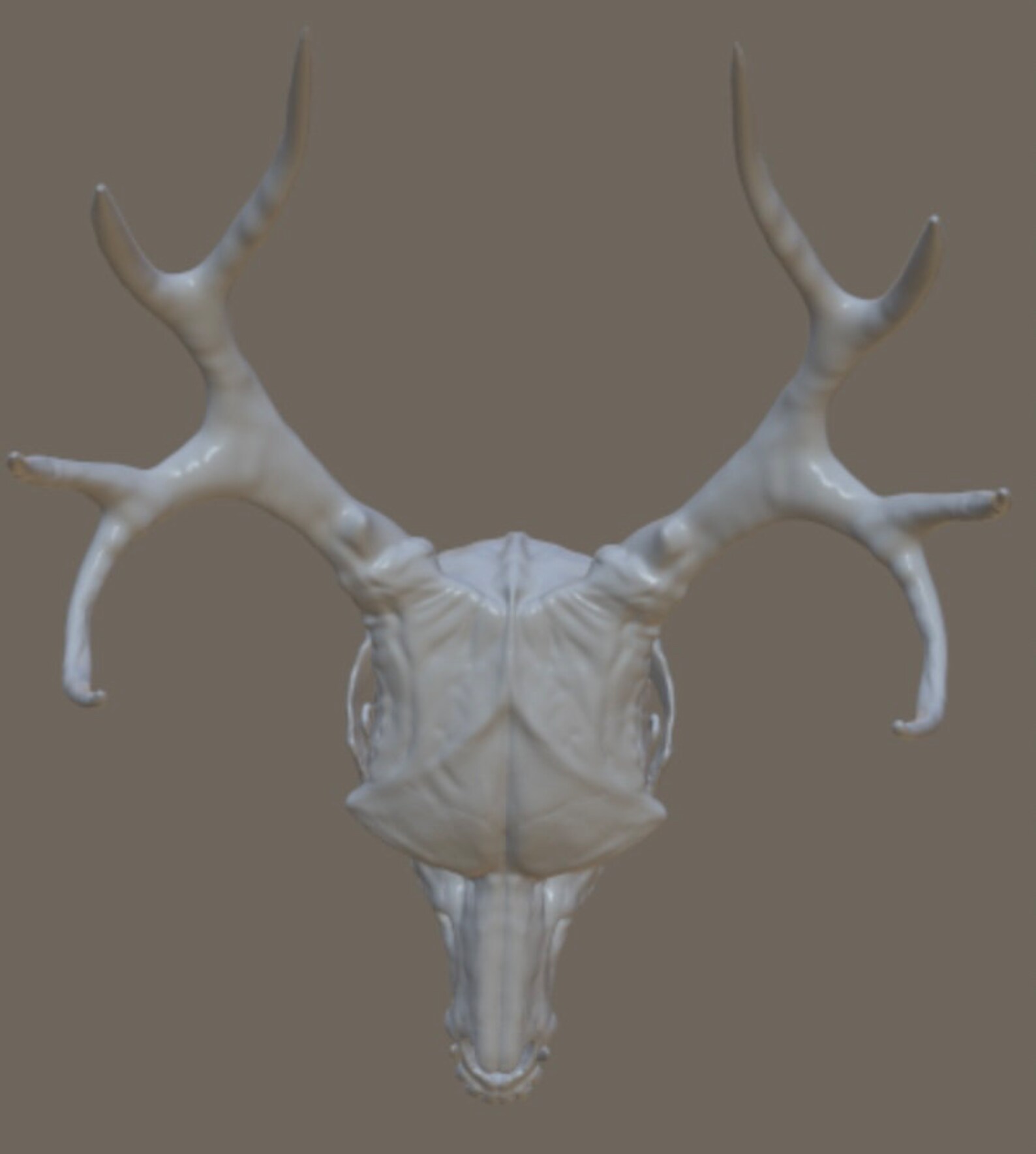 Wendigo Skull Mask 3DMODEL 2022 - Etsy