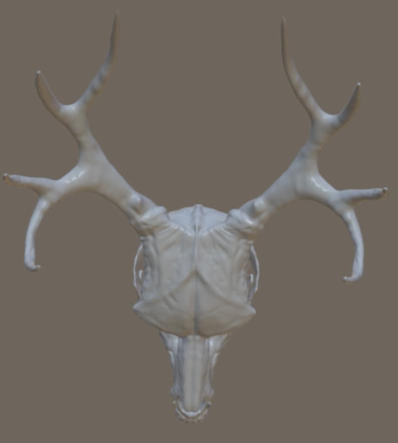 Wendigo Skull Mask 3DMODEL 2022 - Etsy