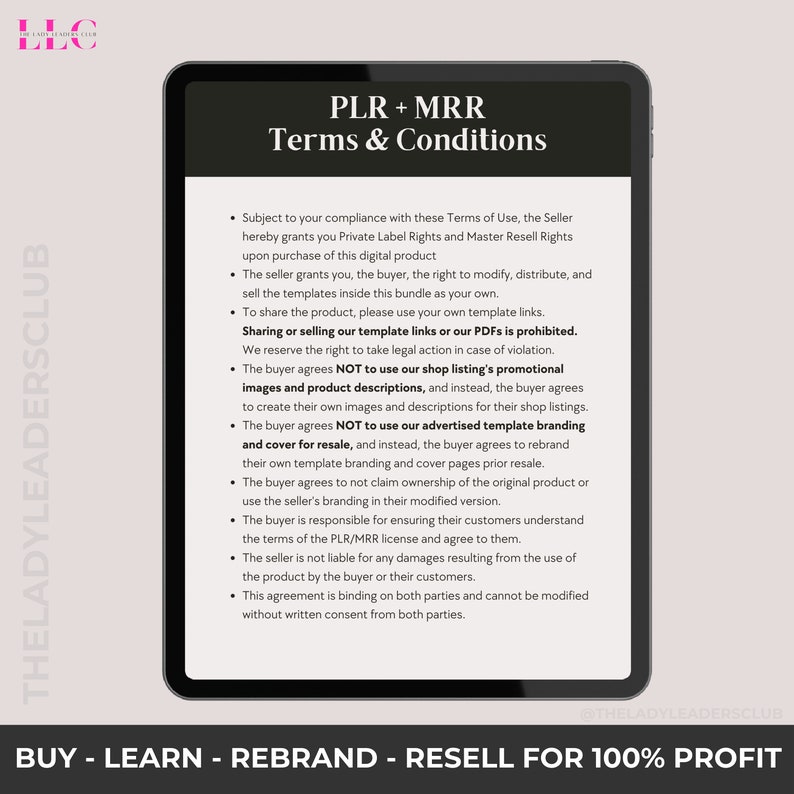 DFY 600 Digital Product Ideas With MRR & PLR, E-book W/ Master-resell ...