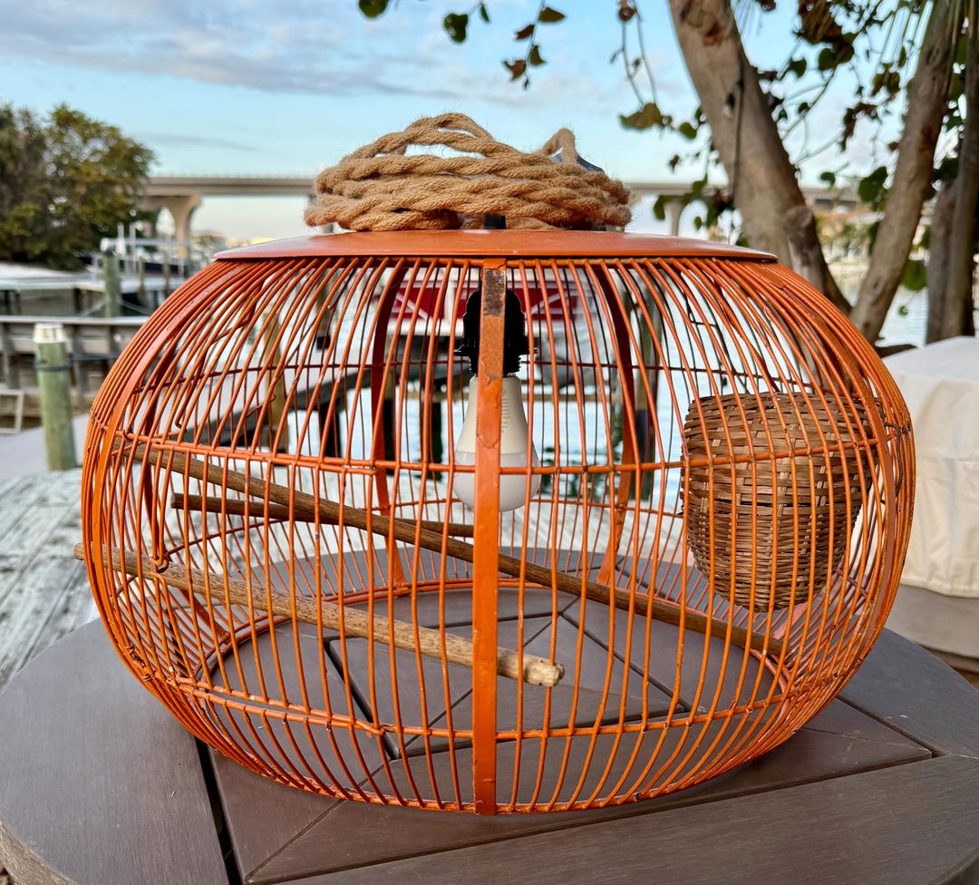 Vintage Large Retro Hanging Swag Lamp With Plug, Old Orange Wire Bird ...