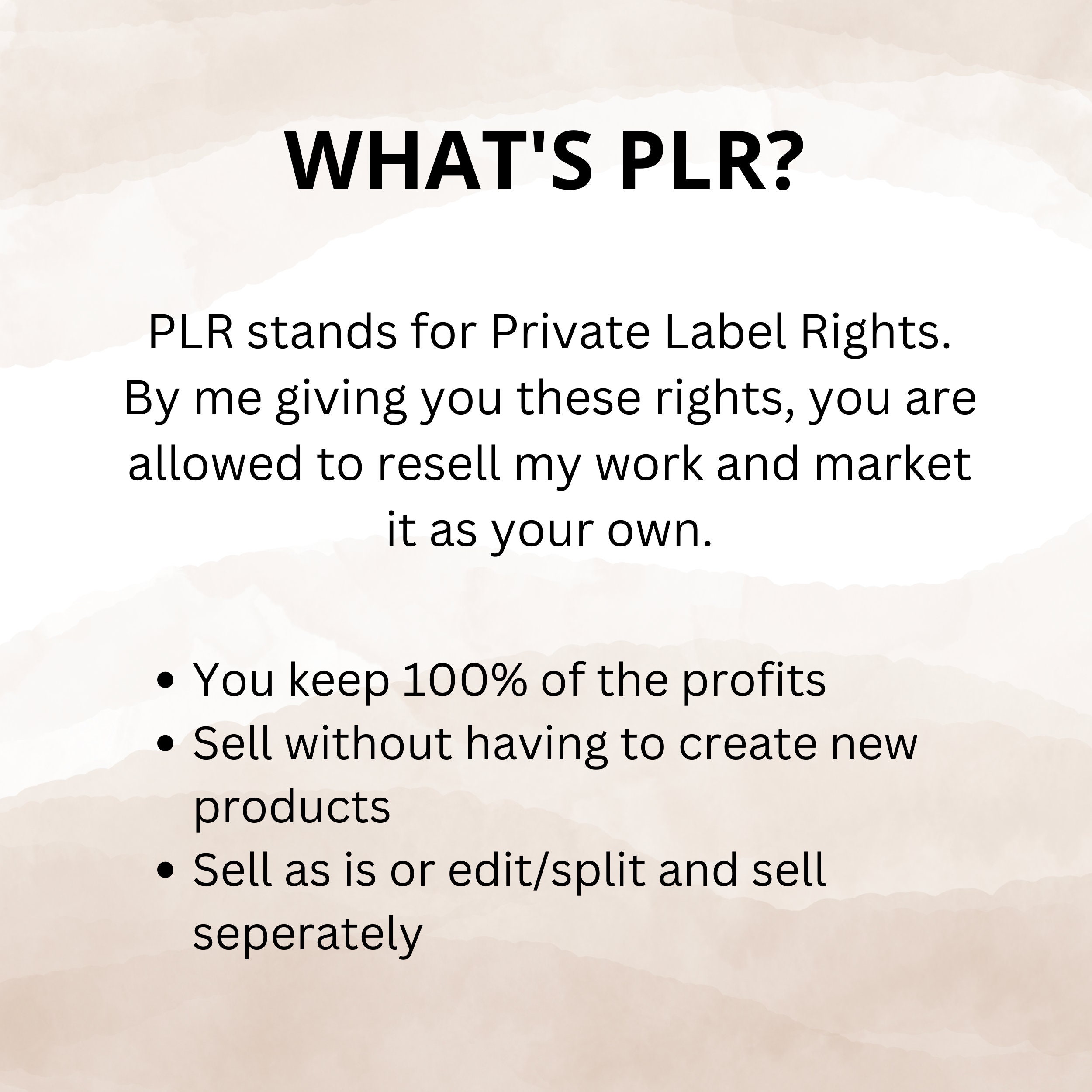 PLR Templates Invoice Template Digital Products Master - Etsy