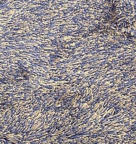 Blue and White Plush Polyester Hand Made Indian Shag Rug Size 3'6"x5'9 ...