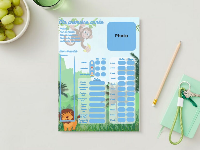 Baby Tracking Notebook Monthly Tracking for His First Year, Daily Baby ...