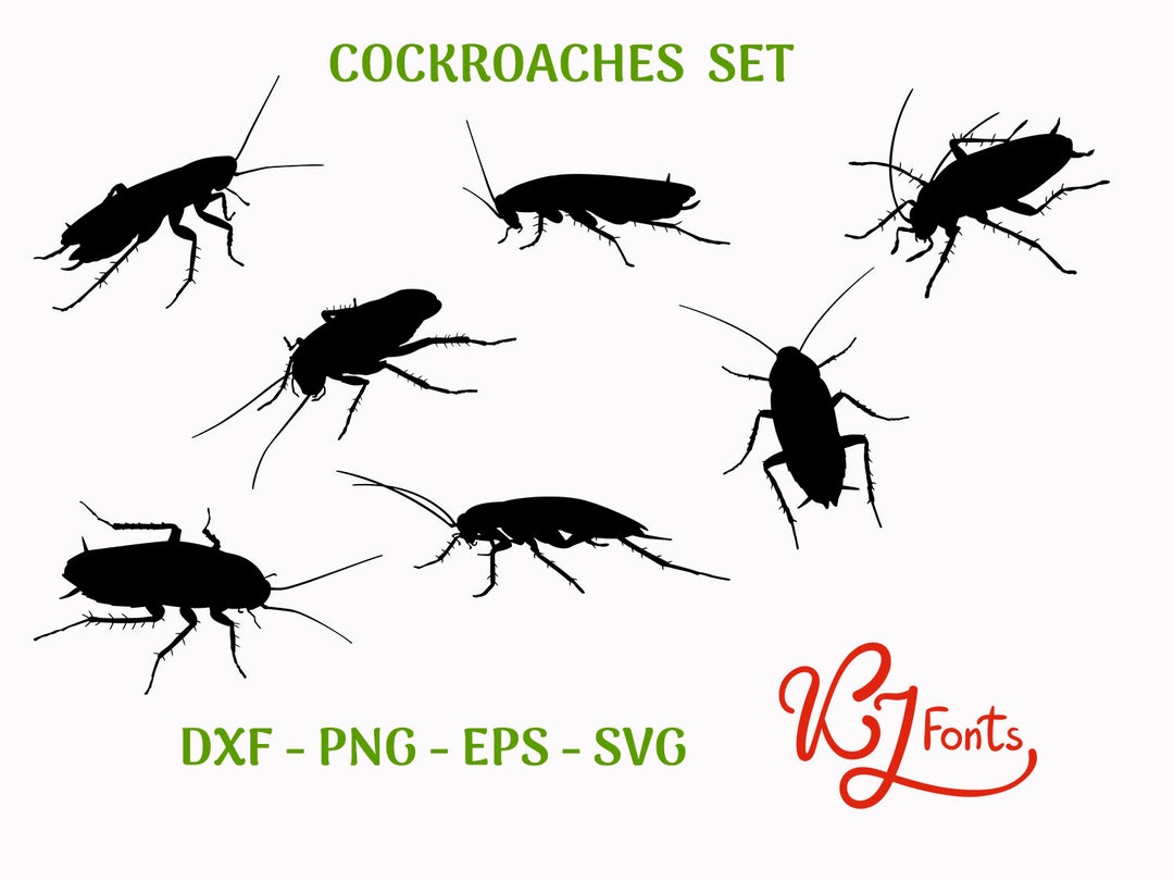 Cockroach SVG - Beetle Svg - Bug Svg - Cockroach Print - Beetle Cut ...