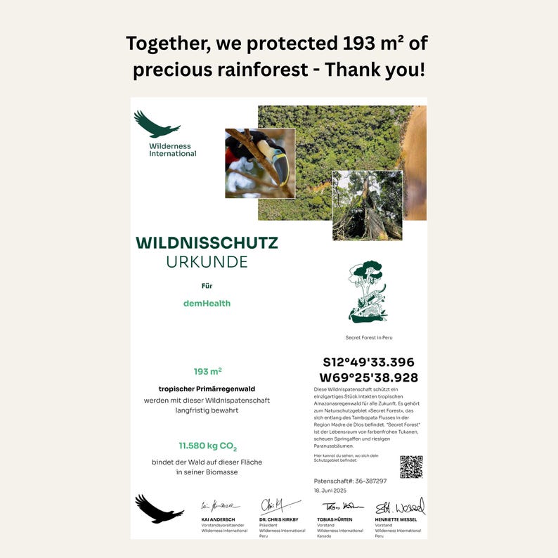 Muscle Anatomy Flashcards Print Learning Physio Study Cards Digital ...