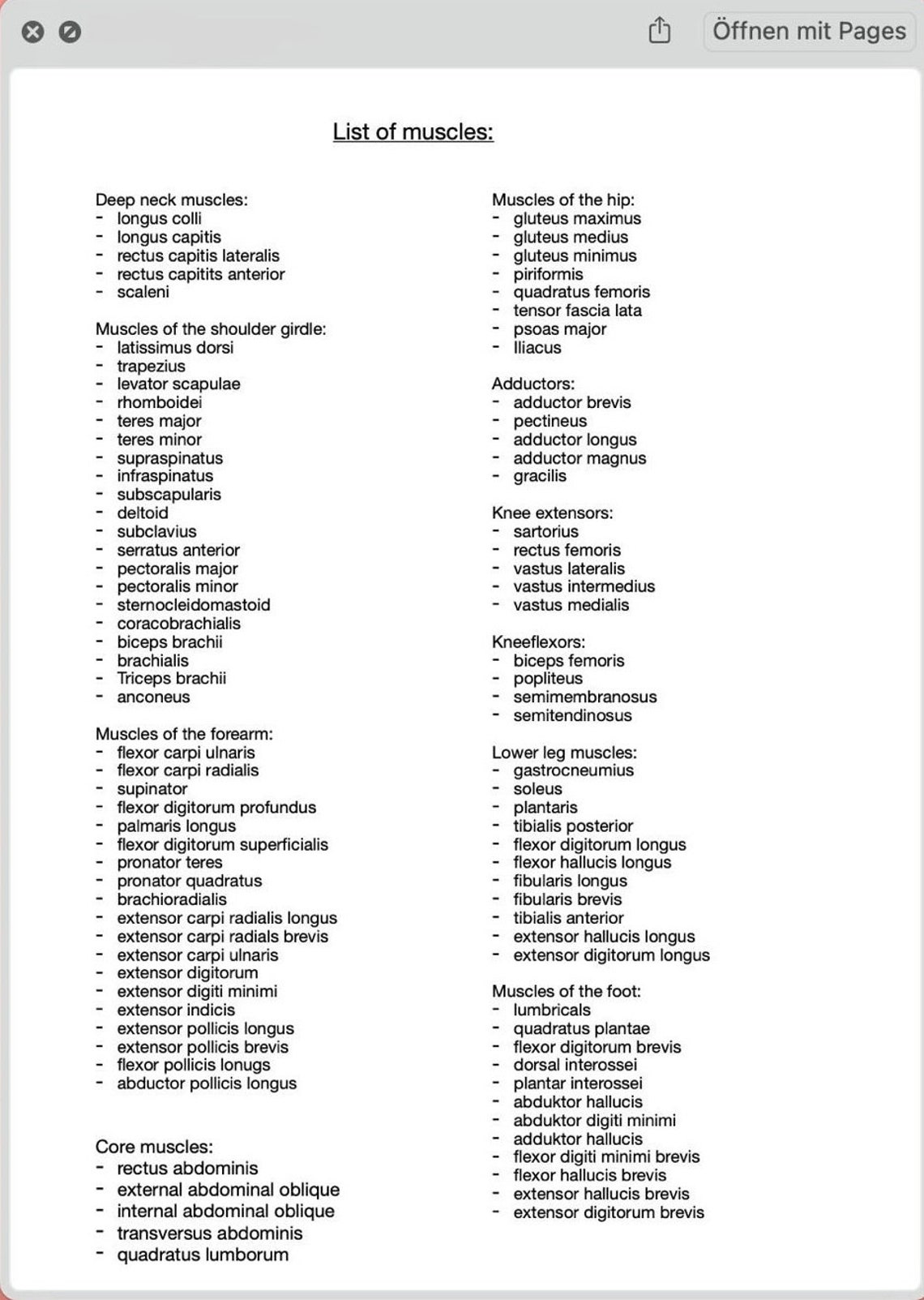Muscle Anatomy Flashcards Print Learning Physio Study Cards Digital ...