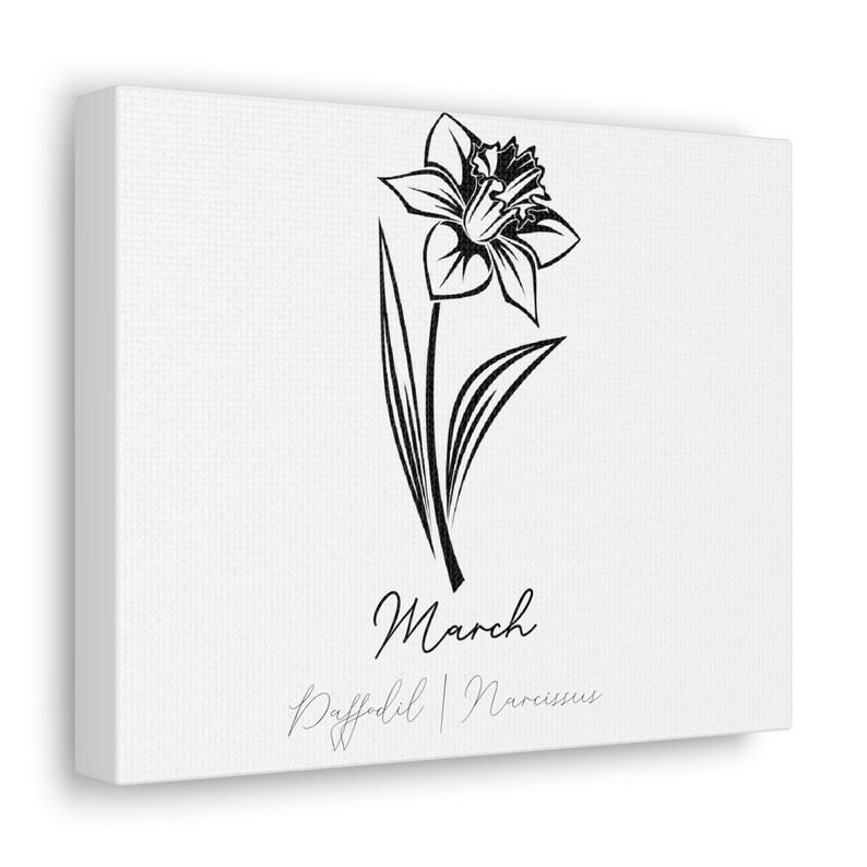 Flor de nacimiento de marzo Envolturas de galería de lienzos Narciso ...