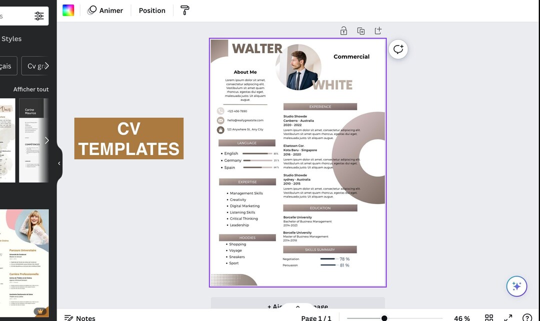 CV TEMPLATES MODELS - Etsy