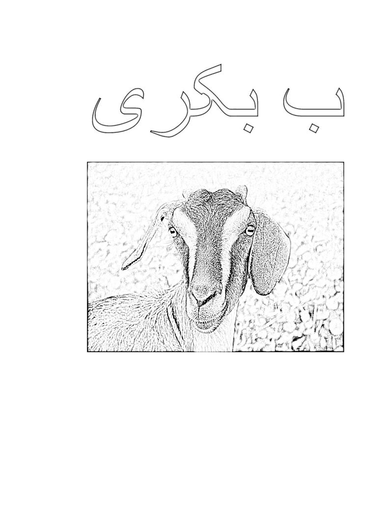 URDU Digital Coloring Book for Kids. - Etsy