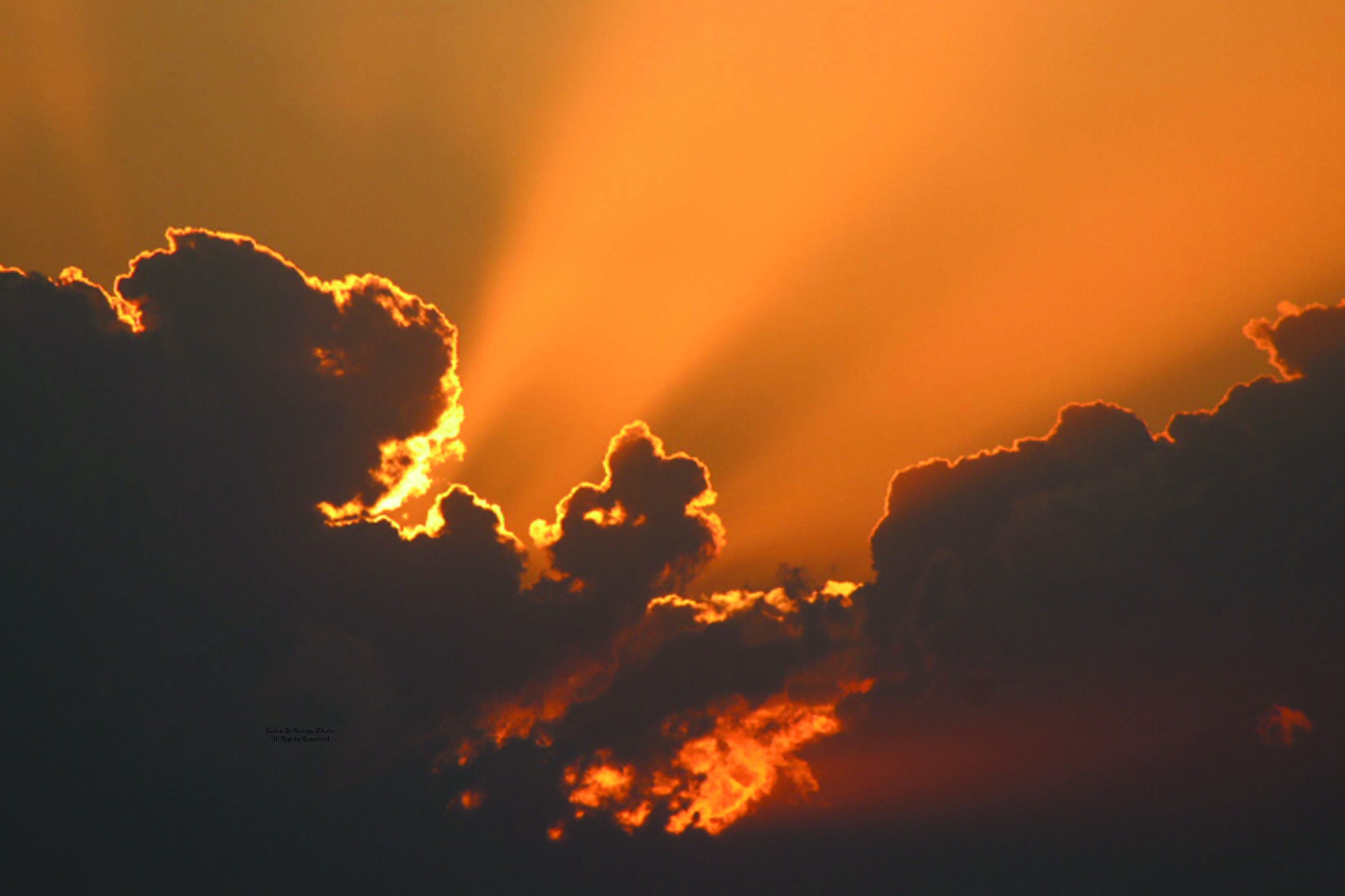 Lion of Juda, King David, God, MAGA, President Trump, Sunset, Bible ...