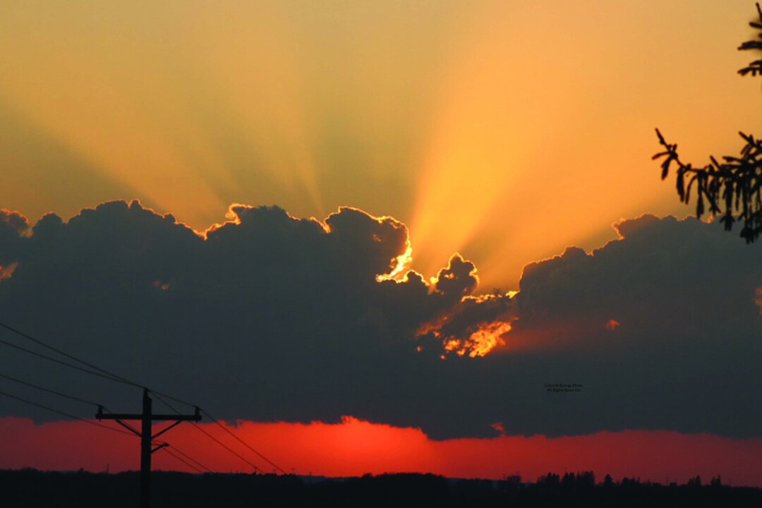 Lion of Juda, King David, God, MAGA, President Trump, Sunset, Bible ...