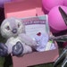 Build A Bear Party Box - Etsy