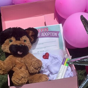 Build A Bear Party Box - Etsy