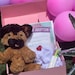 Build A Bear Party Box - Etsy
