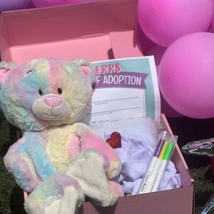 Build A Bear Party Box - Etsy