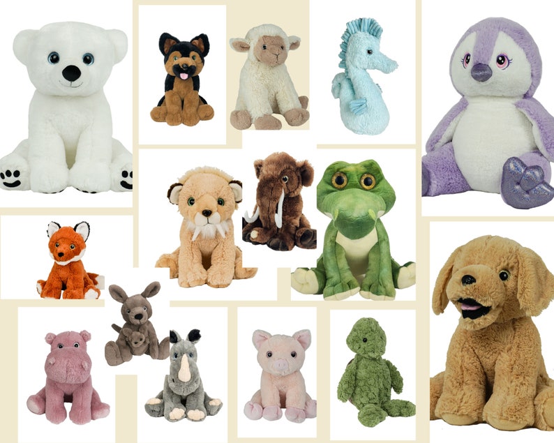 Build A Bear Party Box - Etsy