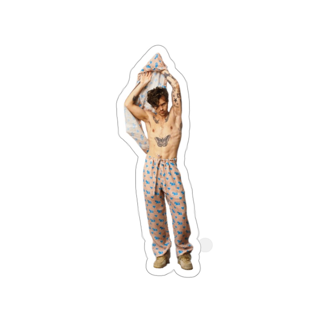 Harry Styles Gucci Sticker - Etsy