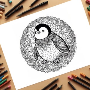 Mandala Penguins COLOURING PAGES 33 Printable Coloring Pages, Mindful ...