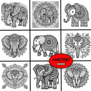 Mandala Elephants COLOURING PAGES 36 Printable Coloring Pages, Mindful ...