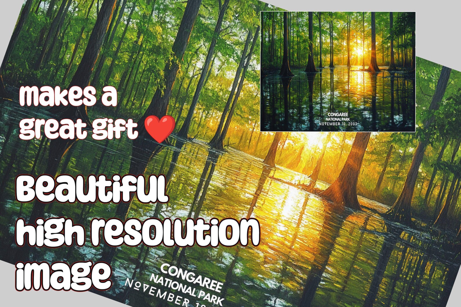 Scenic Congaree National Park Puzzle, Serene Wetland Sunrise Puzzle ...