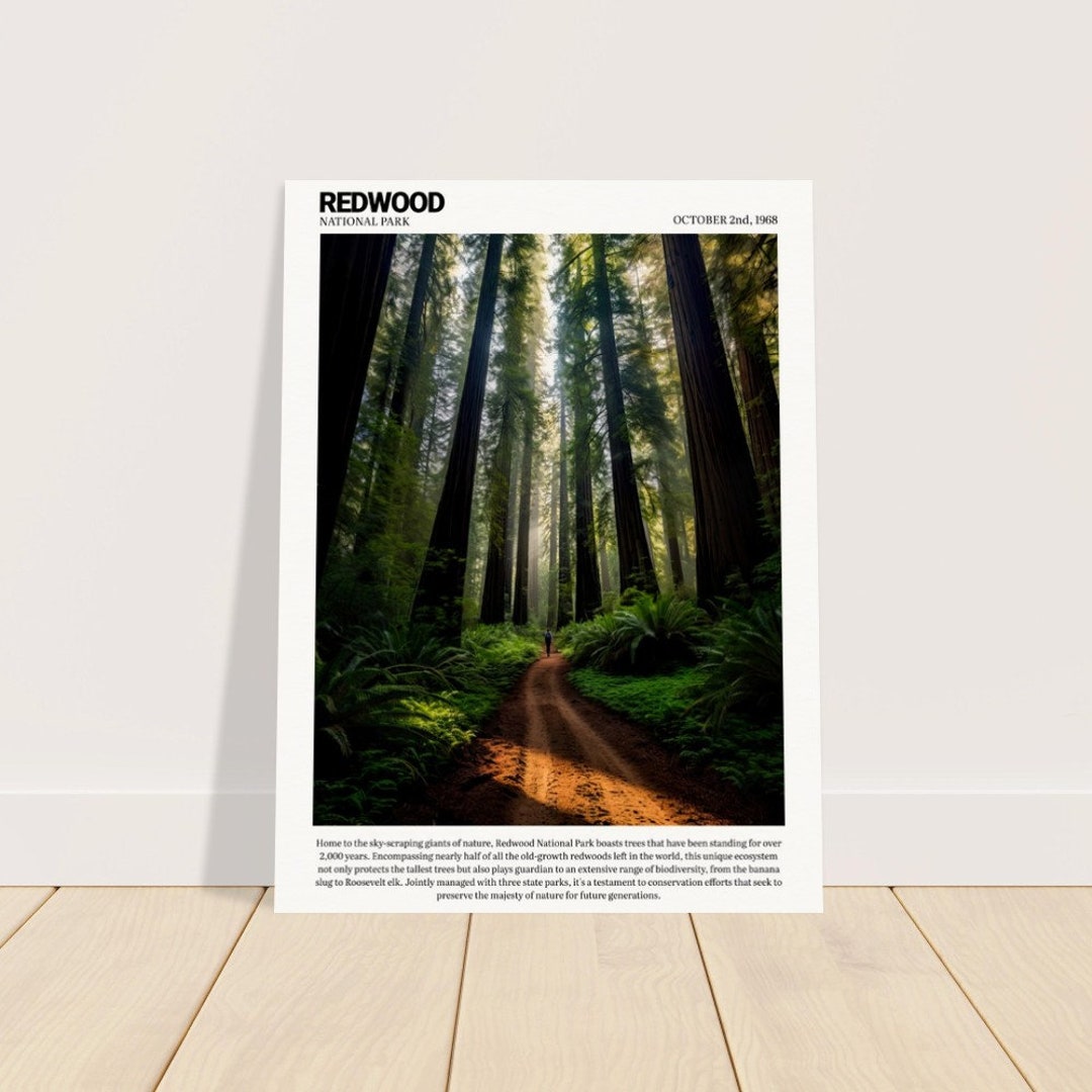 Redwood National Park Poster • Premium Quality Fine Art Print • Matt ...